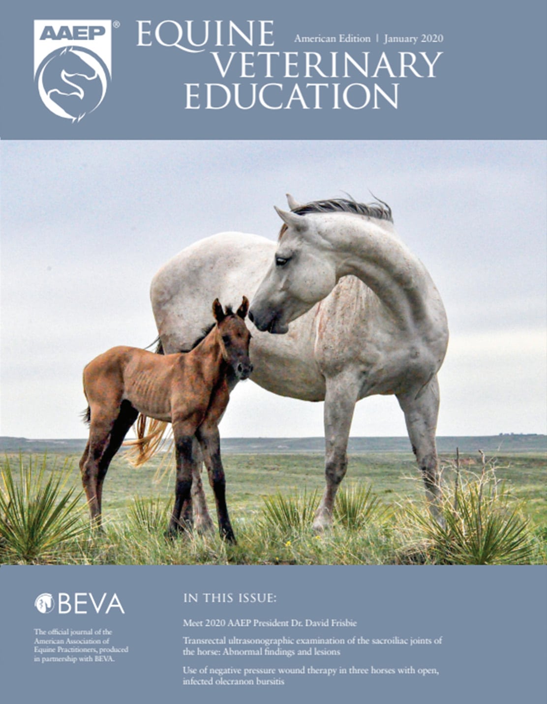 Equine Veterinary Education: January 2020 – AAEP