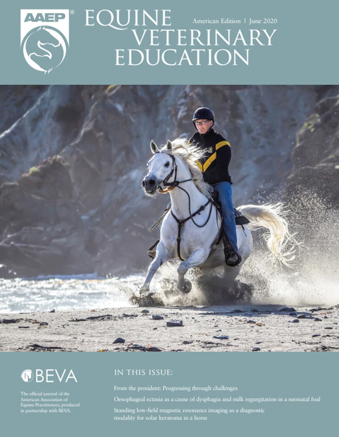 Equine Veterinary Education: June 2020 – AAEP