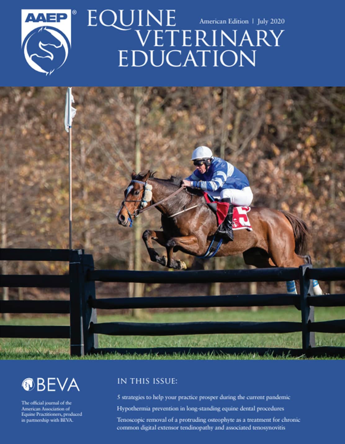 Equine Veterinary Education: July 2020 – AAEP