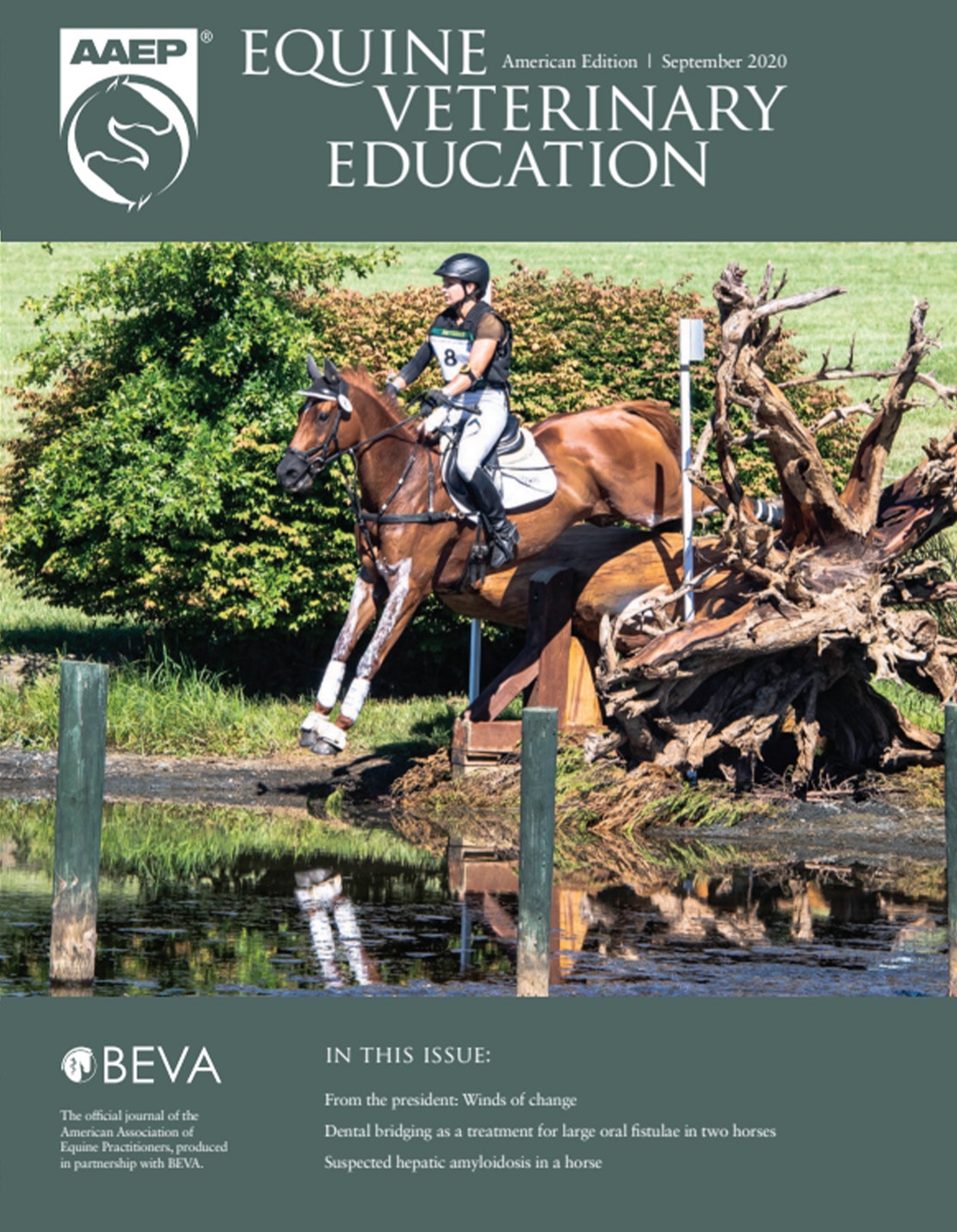 Equine Veterinary Education: September 2020 – AAEP