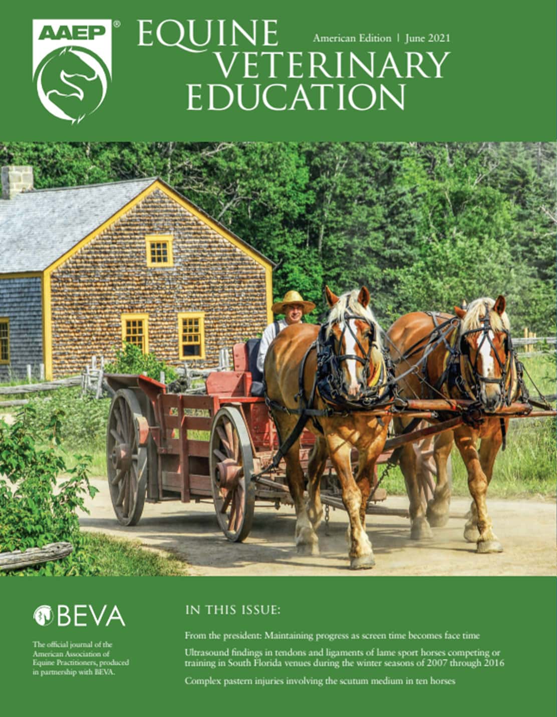 Equine Veterinary Education: June 2021 – AAEP