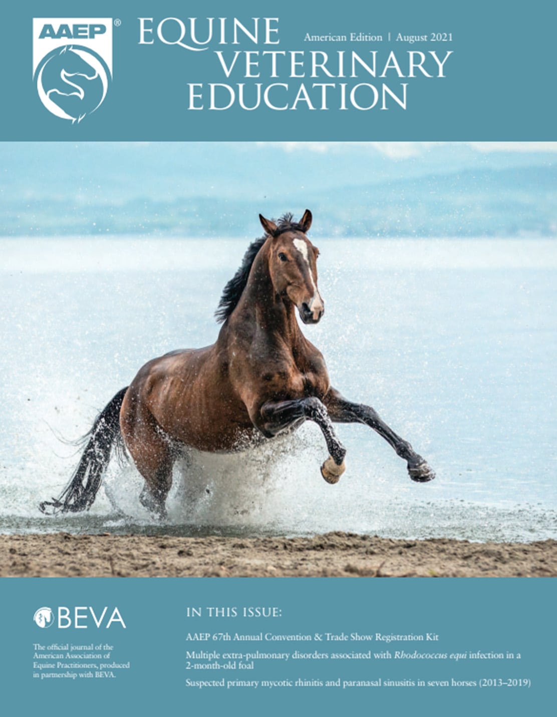 Equine Veterinary Education: August 2021 – AAEP