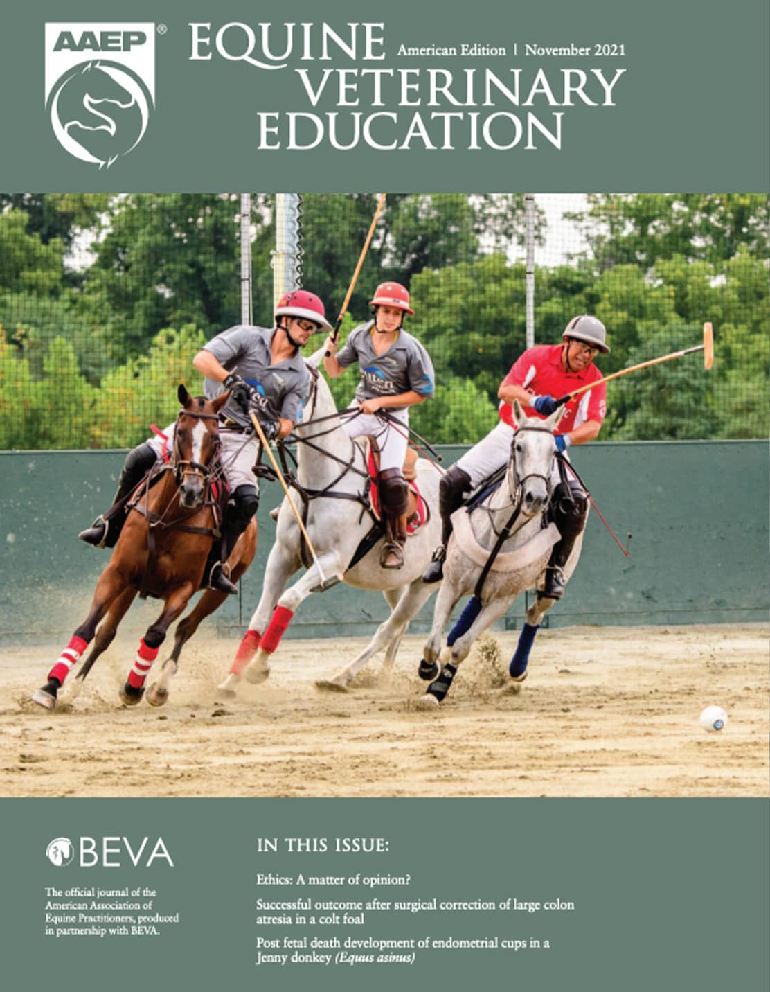 Equine Veterinary Education: November 2021 – AAEP
