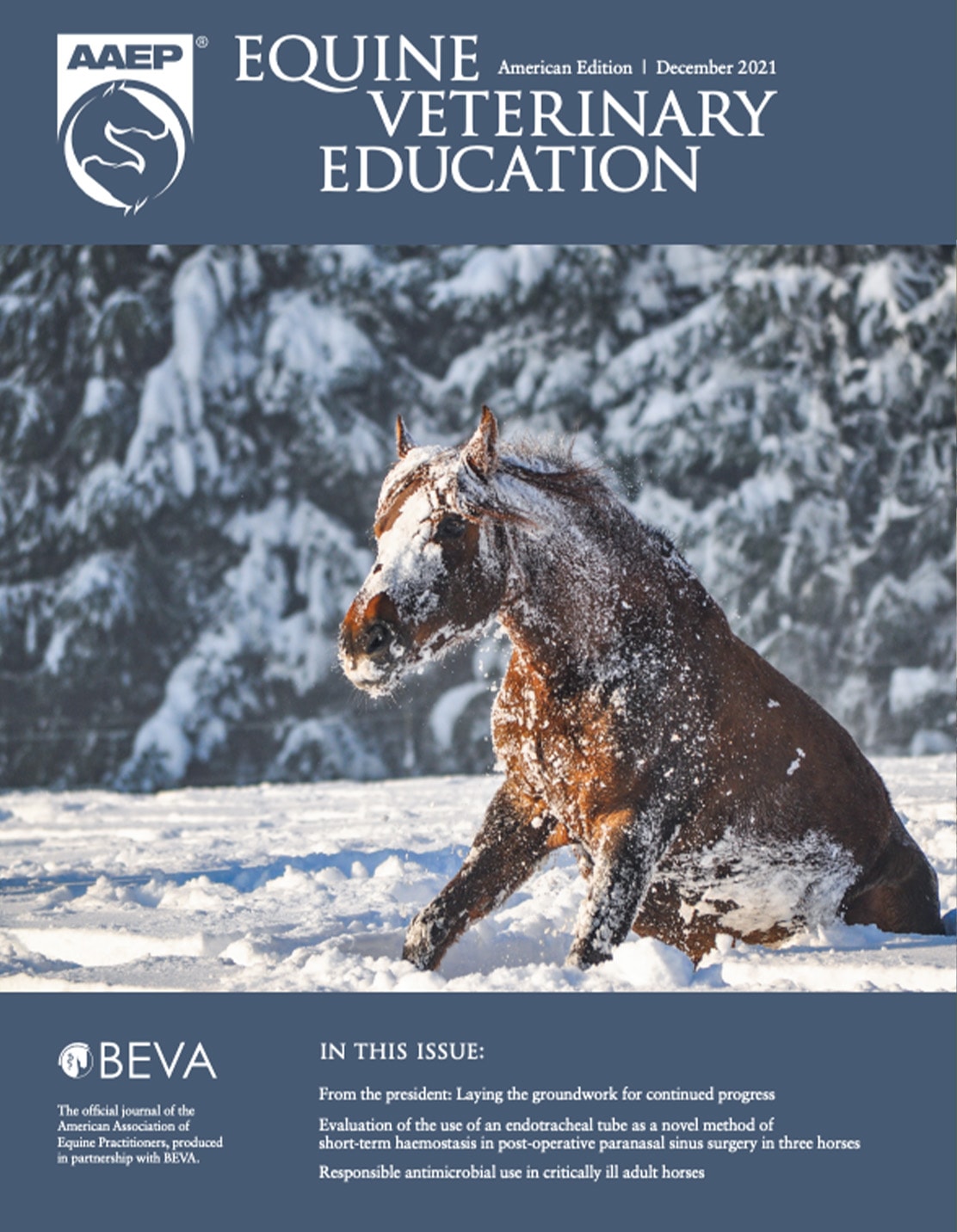 Equine Veterinary Education: December 2021 – AAEP