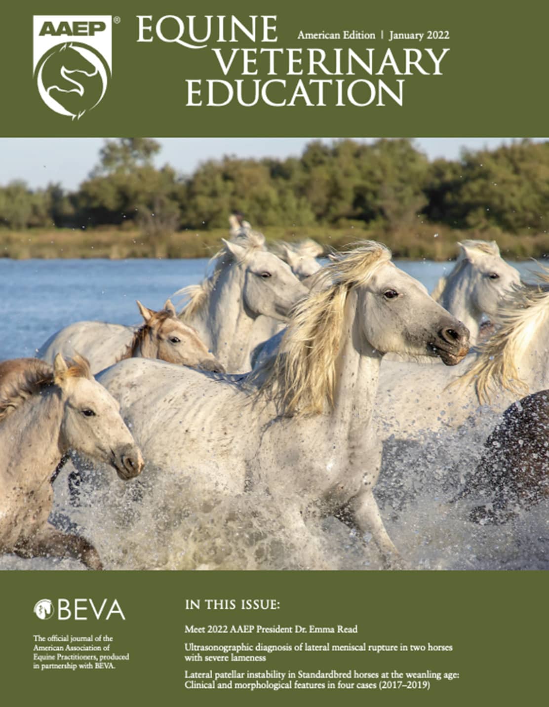 Equine Veterinary Education: January 2022 – AAEP