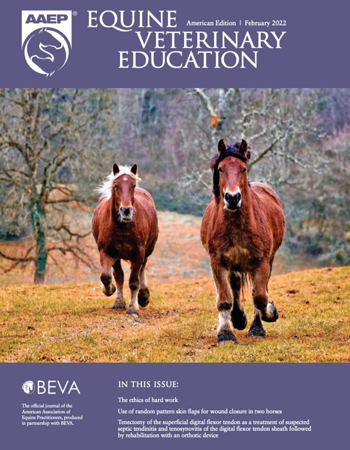 Equine Veterinary Education: February 2022 – AAEP