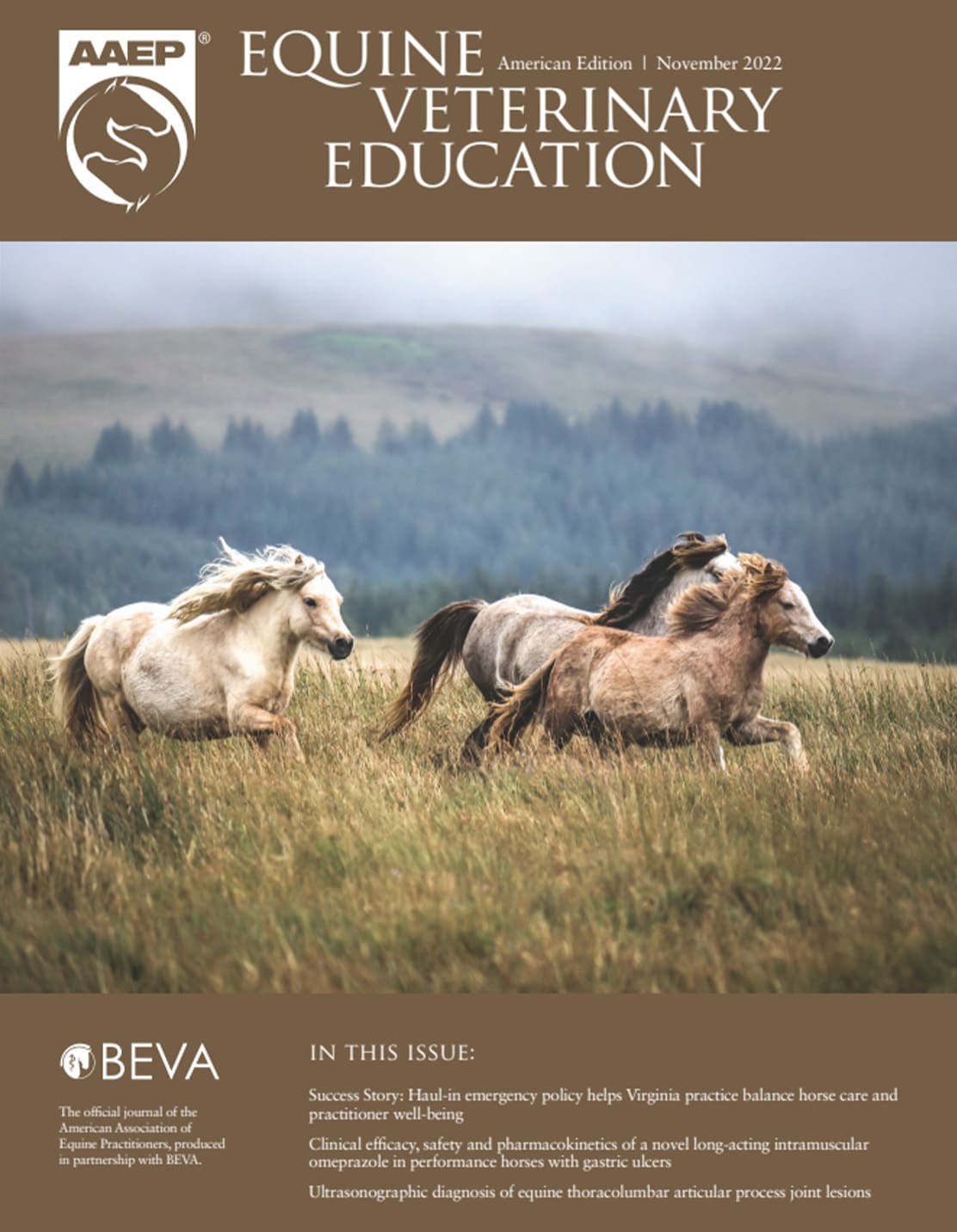 Equine Veterinary Education: November 2022 – AAEP