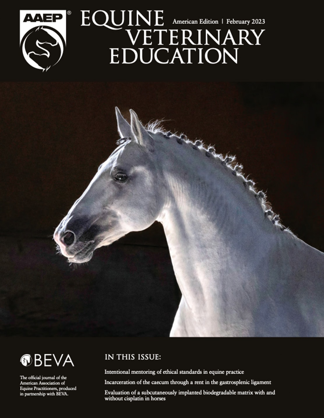 Equine Veterinary Education: February 2023 – AAEP