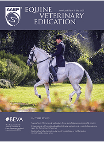 Example Publication 3 – AAEP