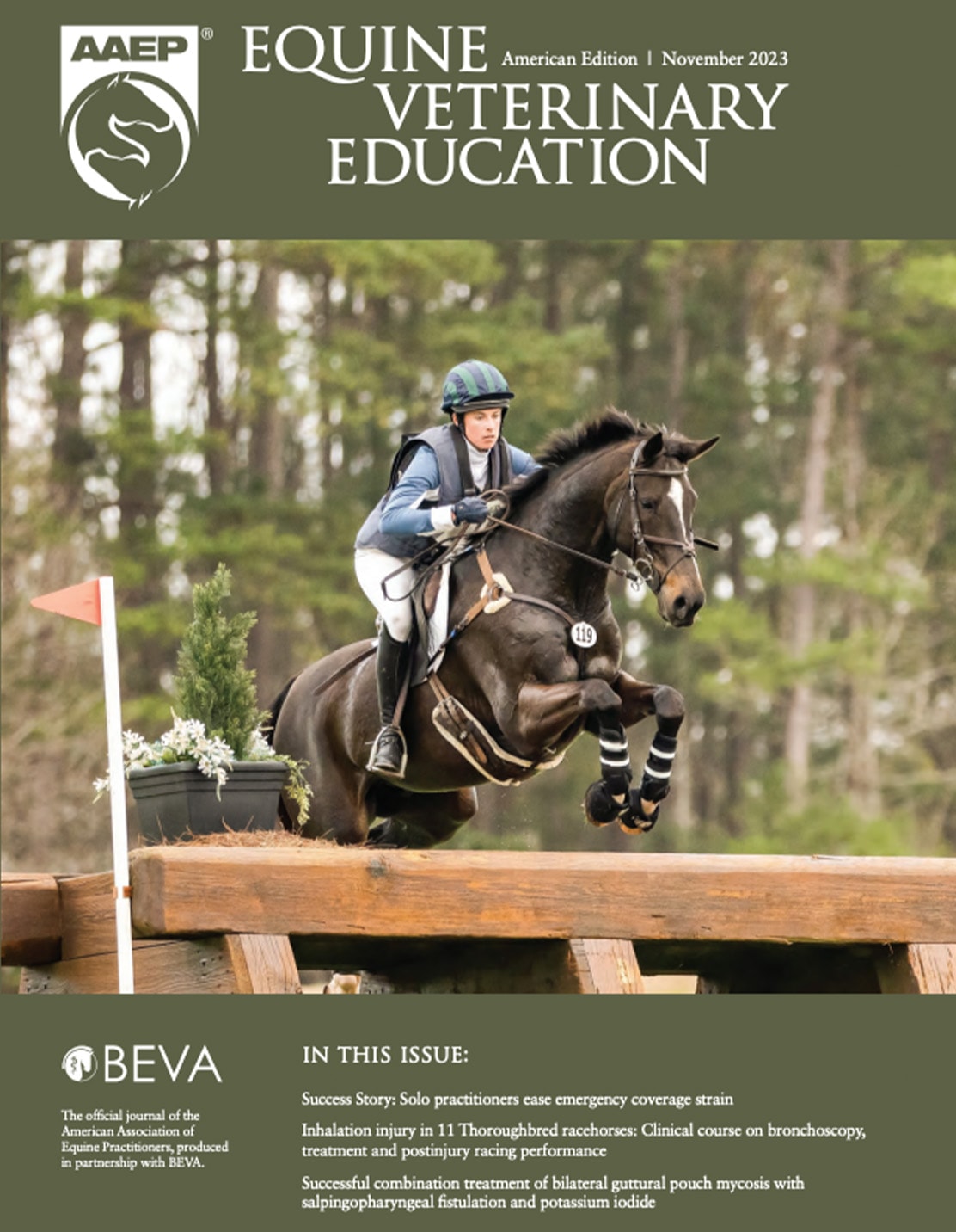 Equine Veterinary Education: November 2023 – AAEP