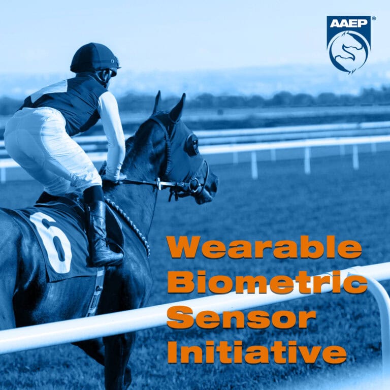 American Association of Equine Practitioners - Raising the Standard in ...