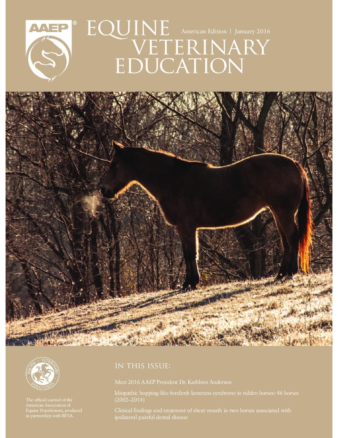 Equine Veterinary Education: January 2016 – AAEP