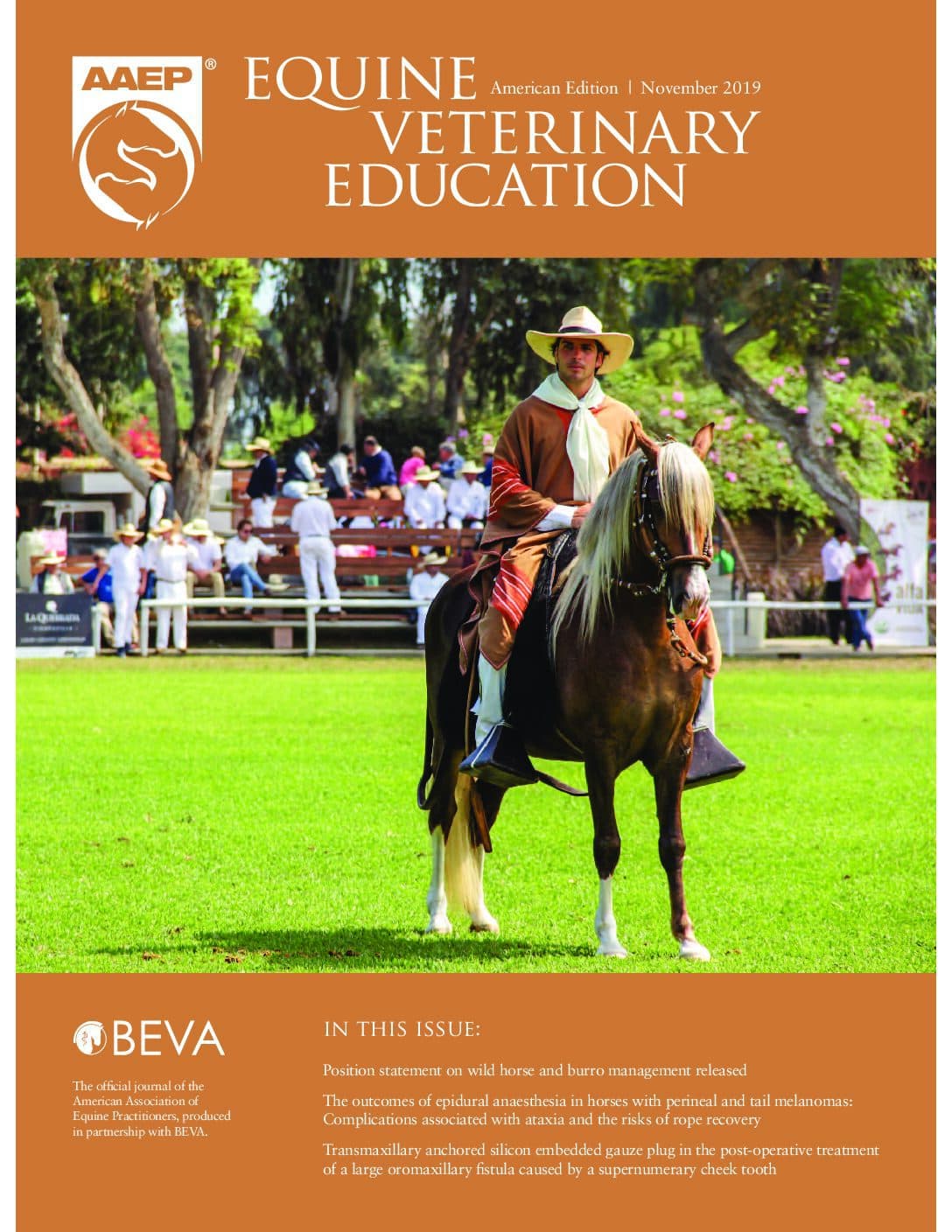 Equine Veterinary Education: November 2019 – AAEP