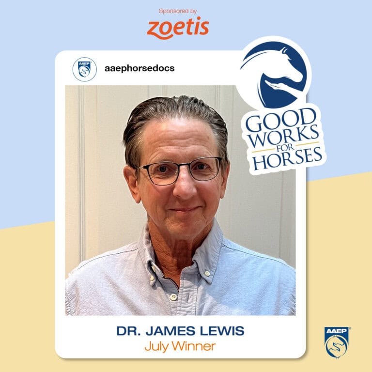 American Association of Equine Practitioners - Raising the Standard in ...