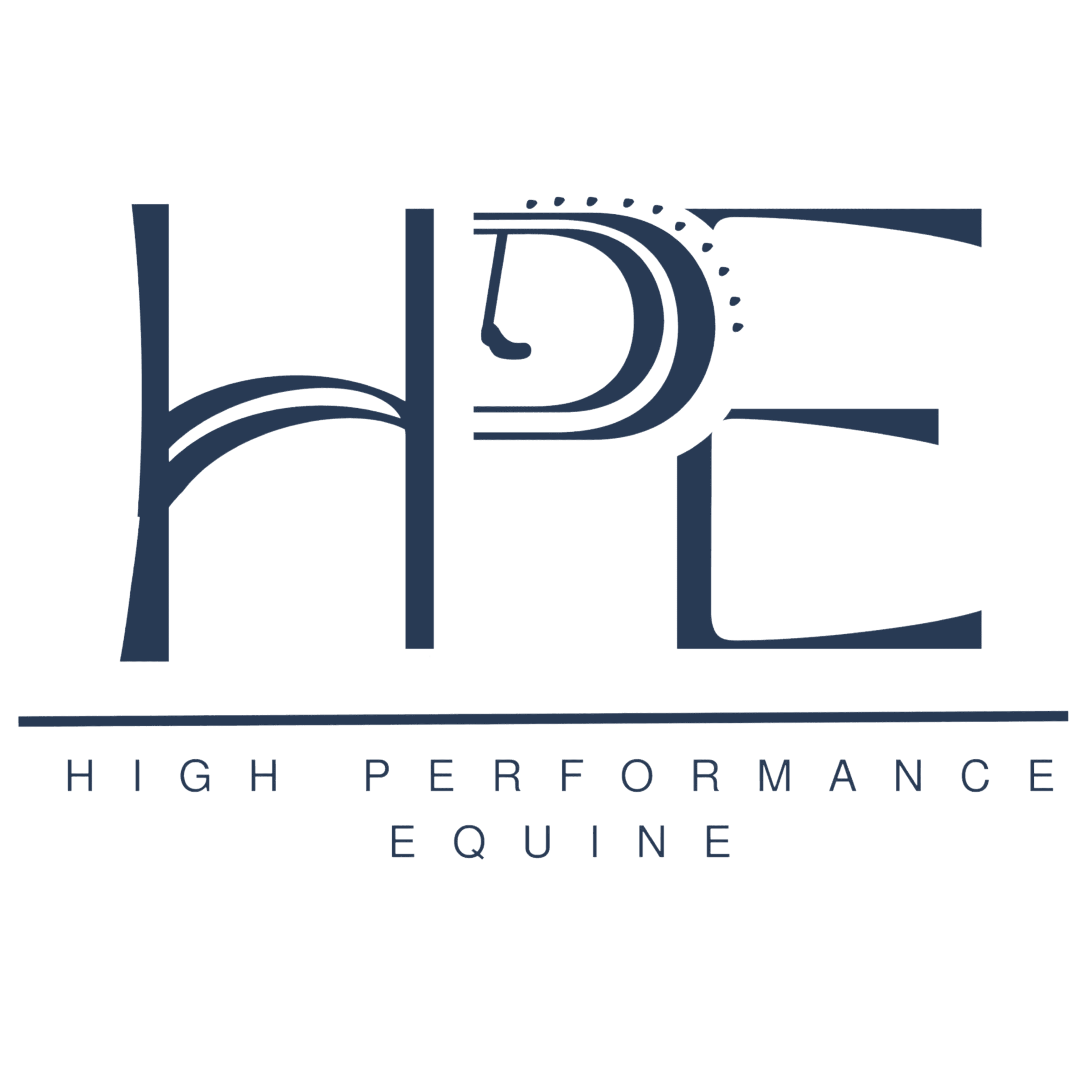 Sports Medicine Practice Internship – AAEP