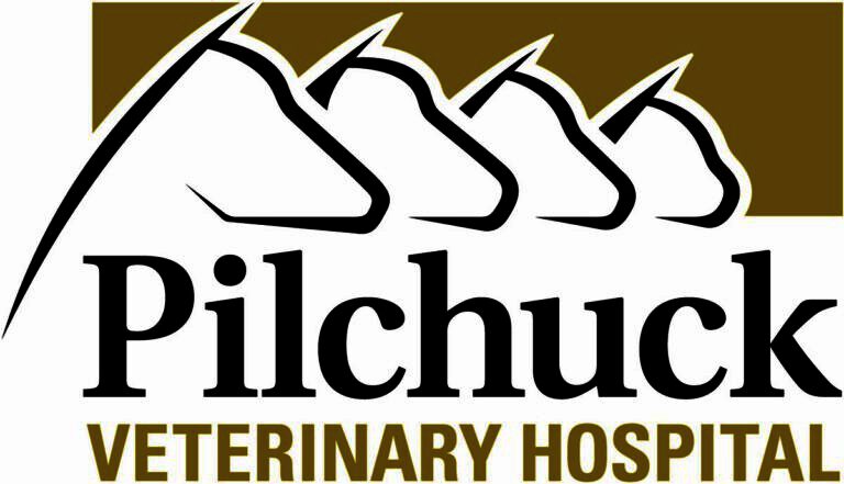 Equine Rotating Internship 2025-2026 – AAEP