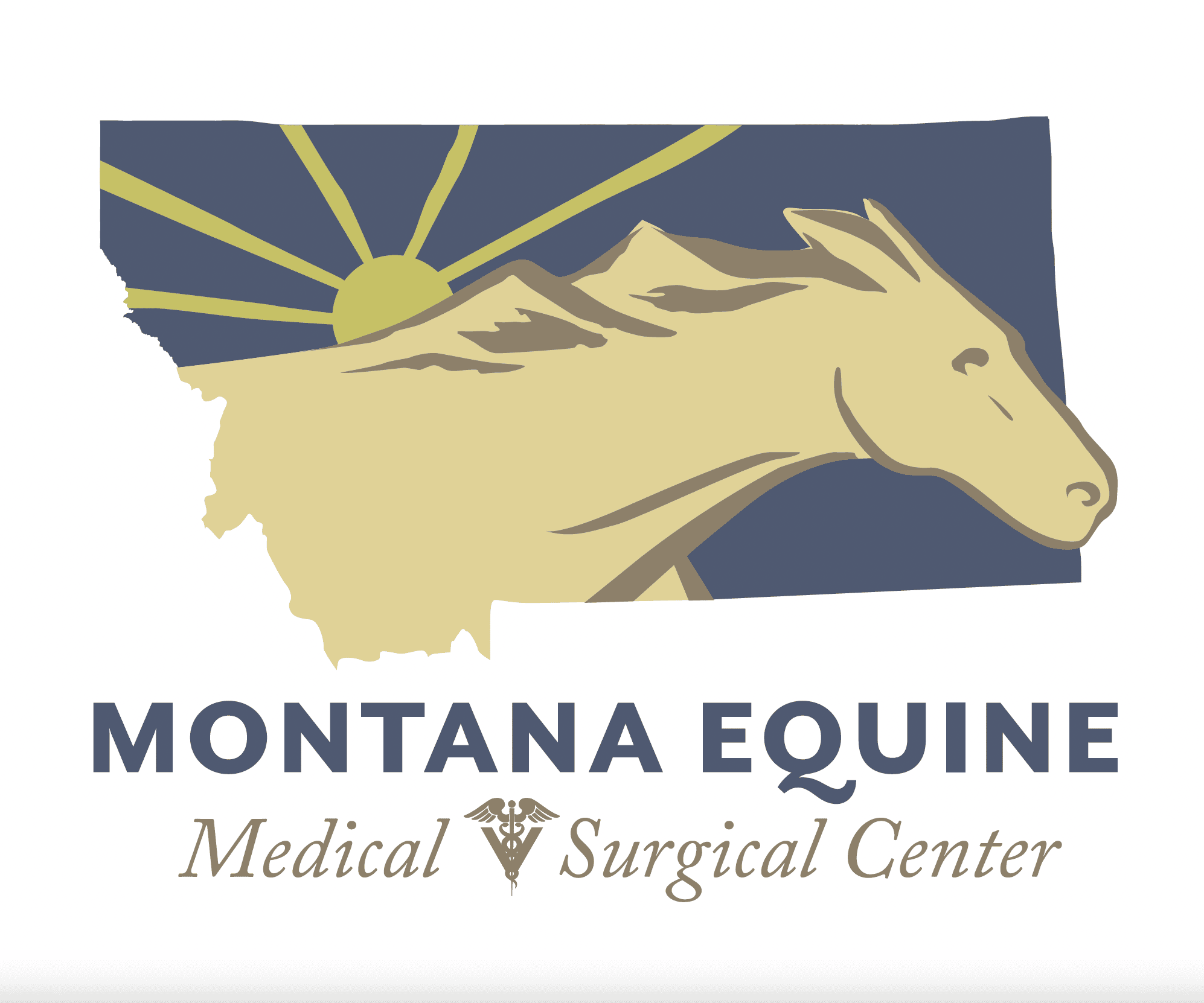 Rotating Internship – AAEP