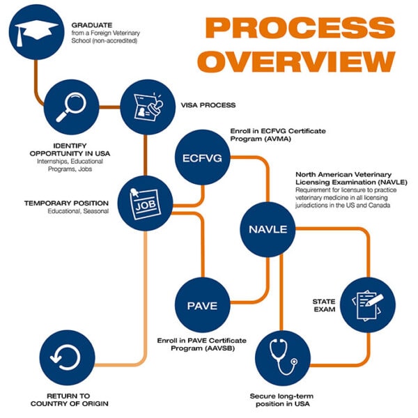 Foreign Veterinary School Graduate Resources - AAEP