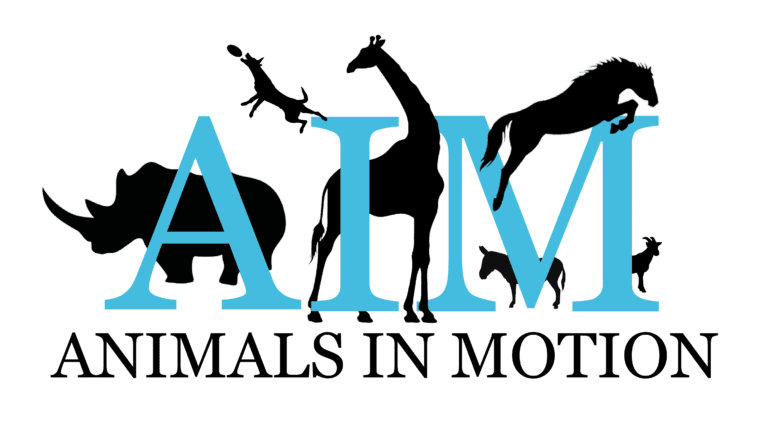 Internships – AAEP