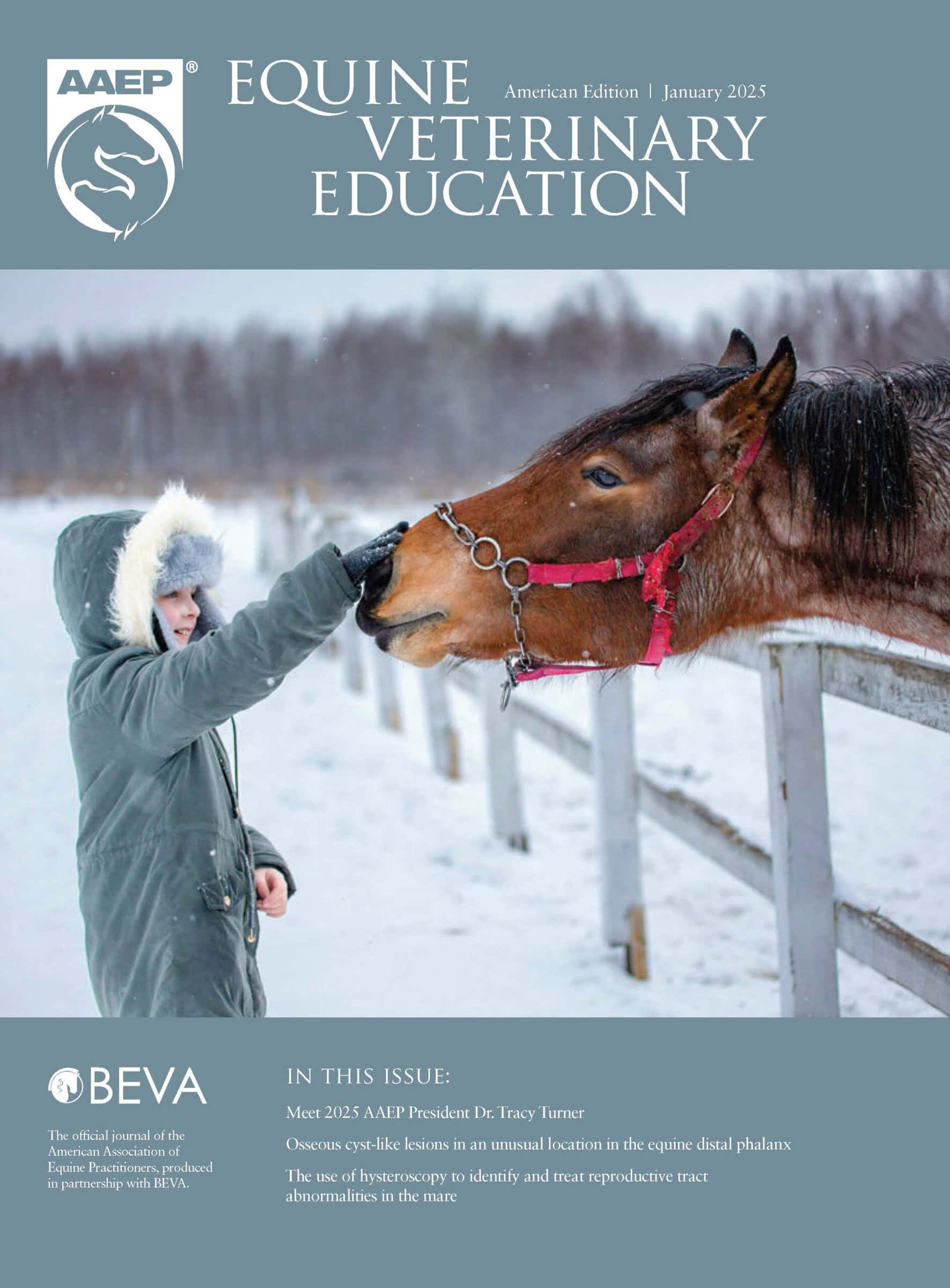 Equine Veterinary Education: January 2025 – AAEP