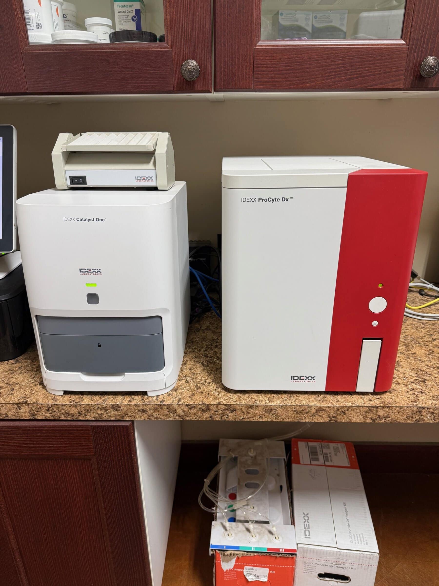 Idexx Catalyst One and Procyte Dx – AAEP