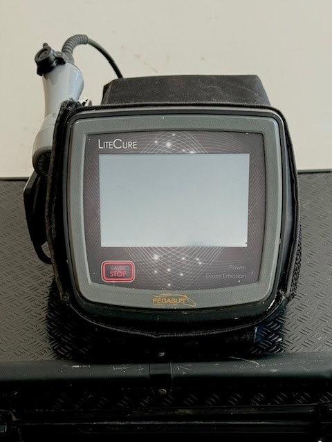Pegasus Therapy Laser PTC-15 – AAEP
