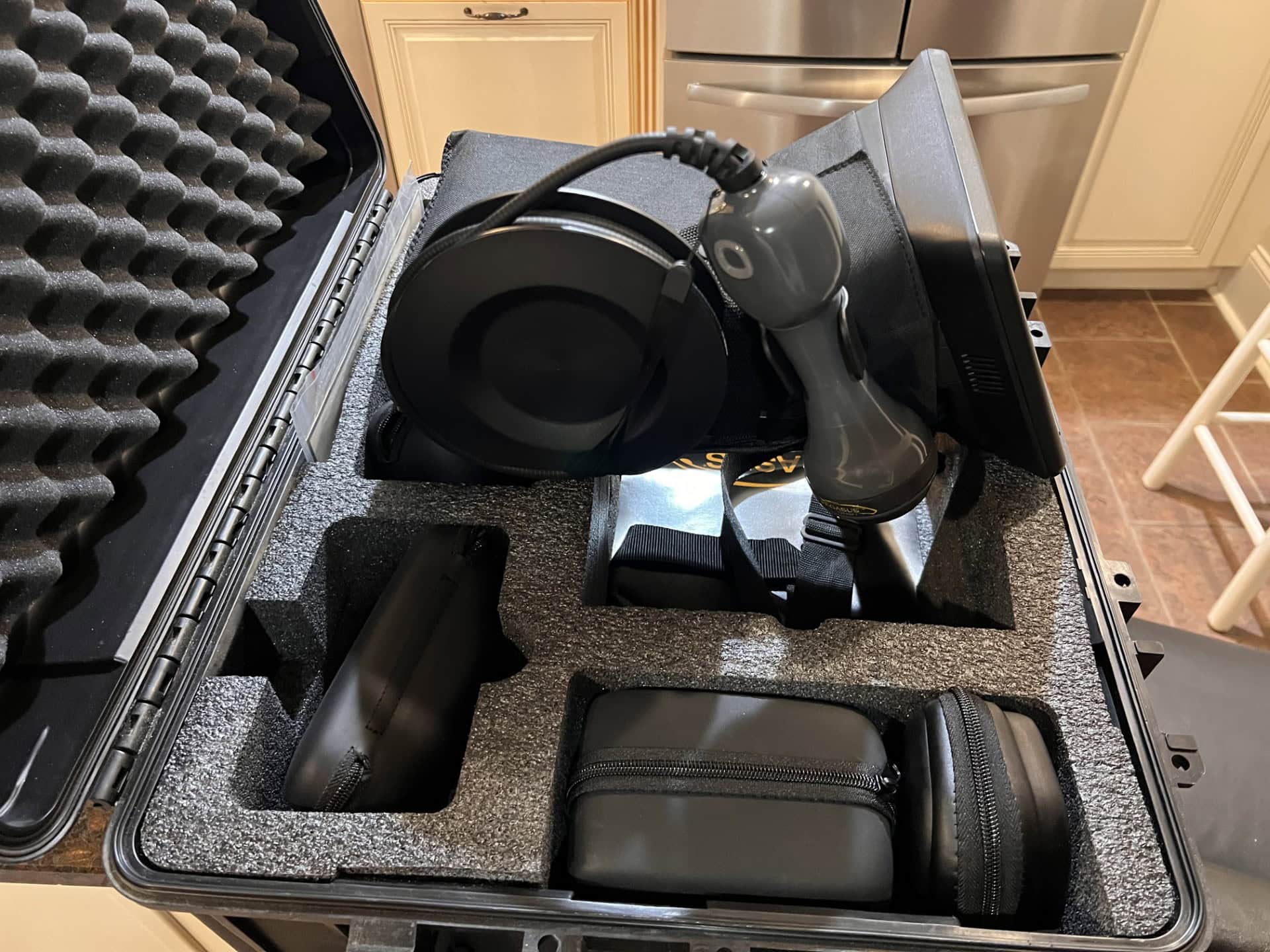 Pegasus Therapy Laser – AAEP