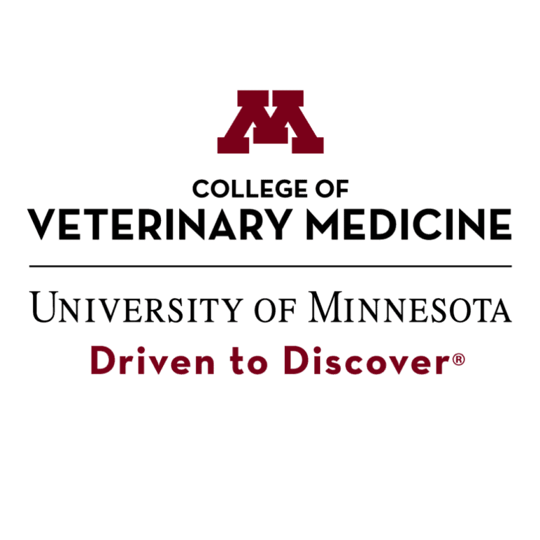 Internships – AAEP