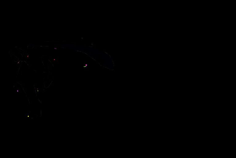 Internships – AAEP